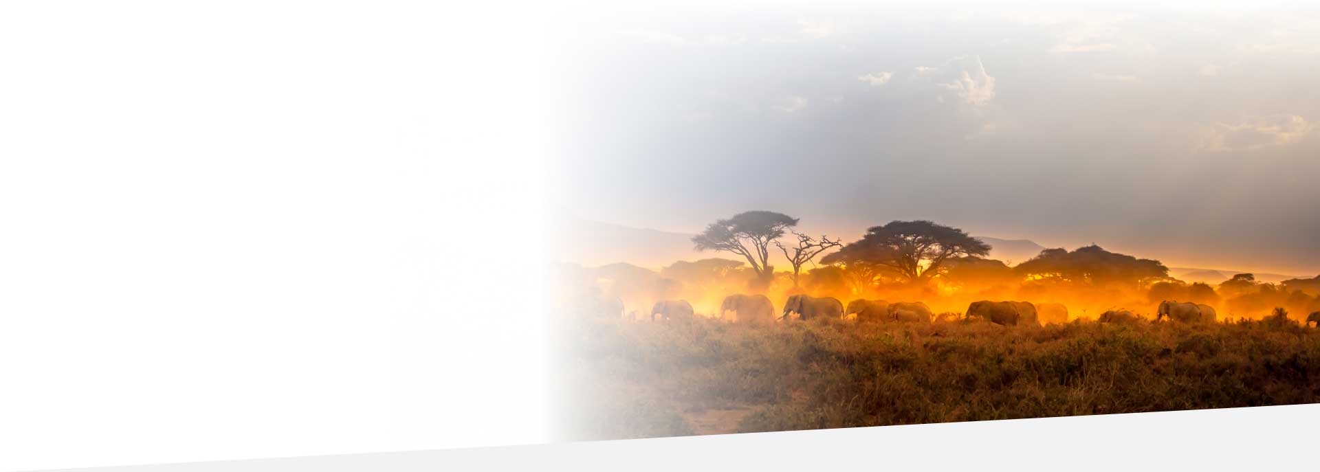 Trusted Translations: Leader in translation and interpretation services